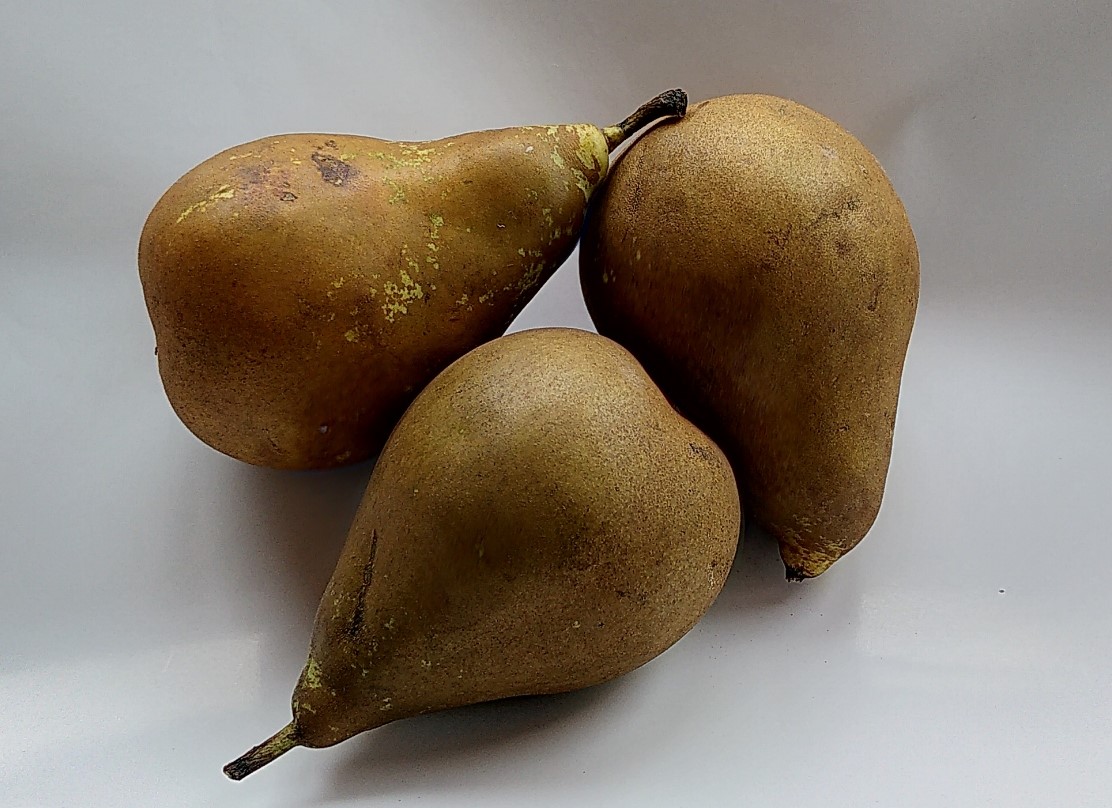 Birne Kaiser Alexander/Xenia | Heimische Früchte | Obst | Gemüse & Obst ...