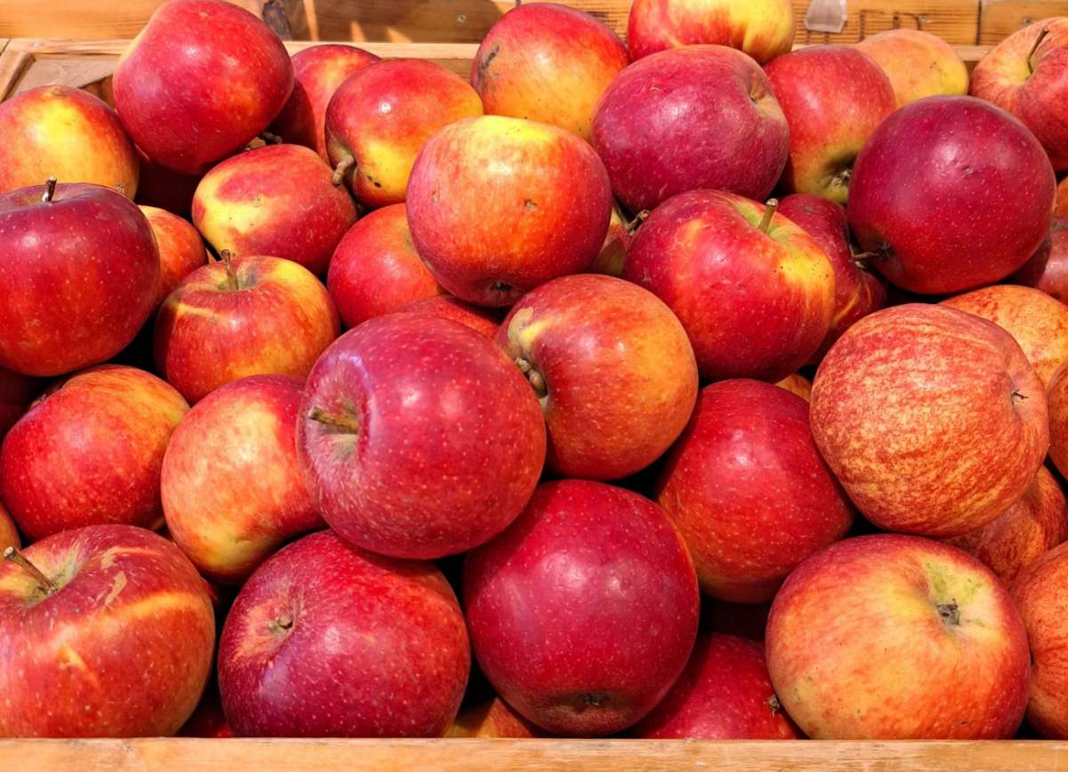 Apfel "Natyra" Bio | Frisches Obst | Obst, Trockenfrüchte, Nüsse ...